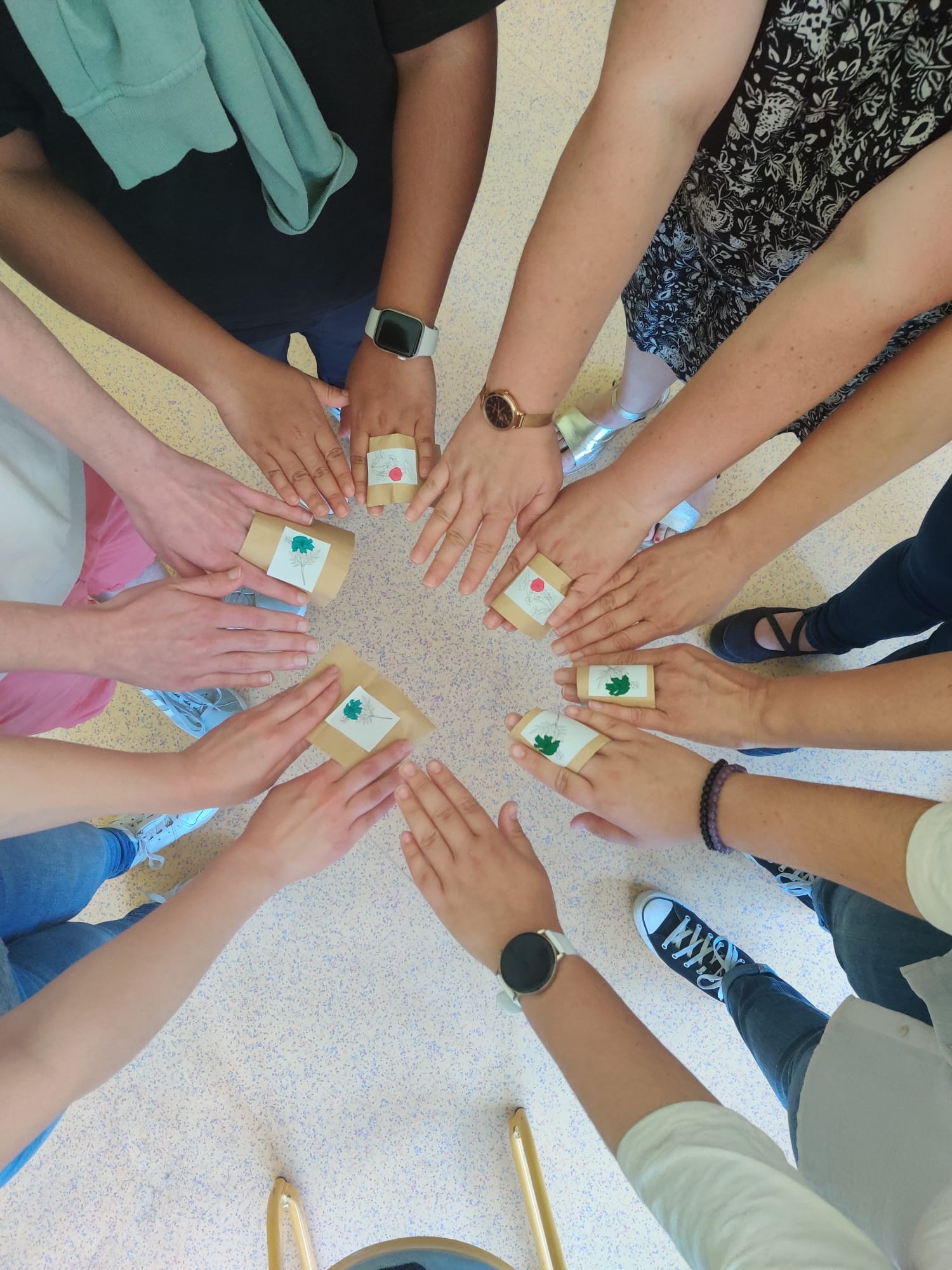 LE MENTORAT - ifsi-ifas-saverne